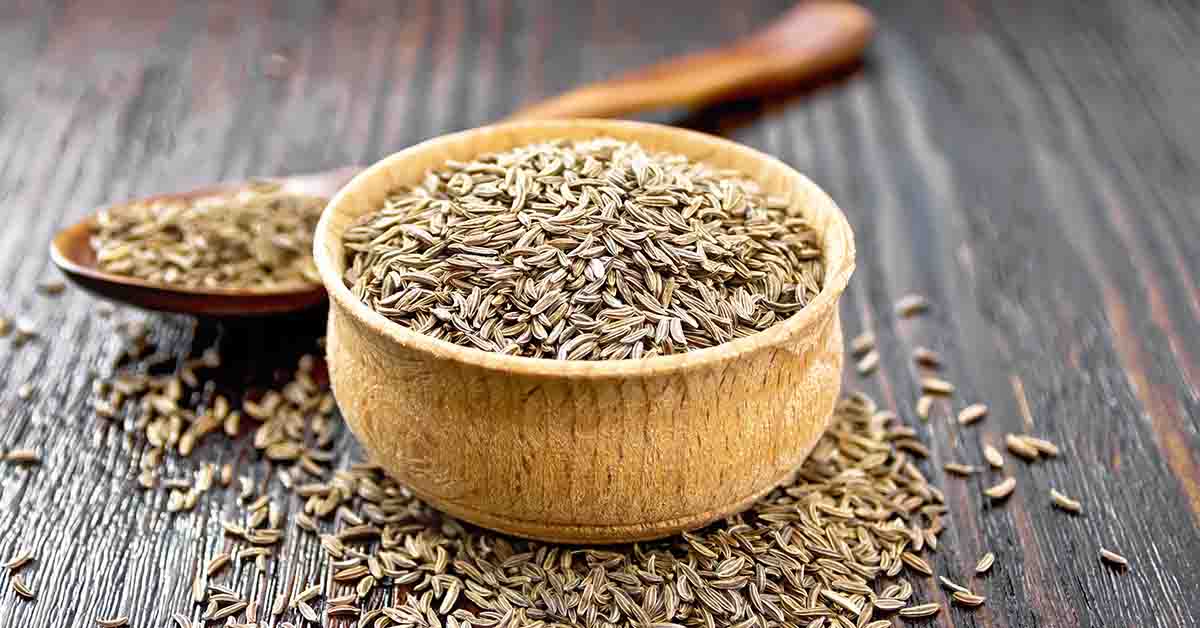 Chimen ( Carum carvi ) descriere, utilizare si proprietati