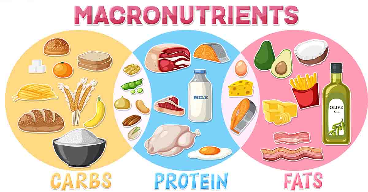 Blog Top Ingrediente :: Wellness :: Nutritie :: Nutrienti - Top Ingrediente