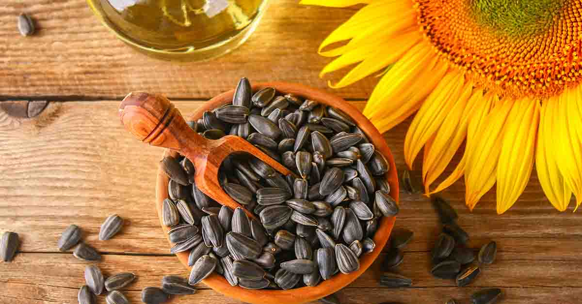 Semintele de floarea-soarelui: beneficii pentru sanatate pe care sigur ...