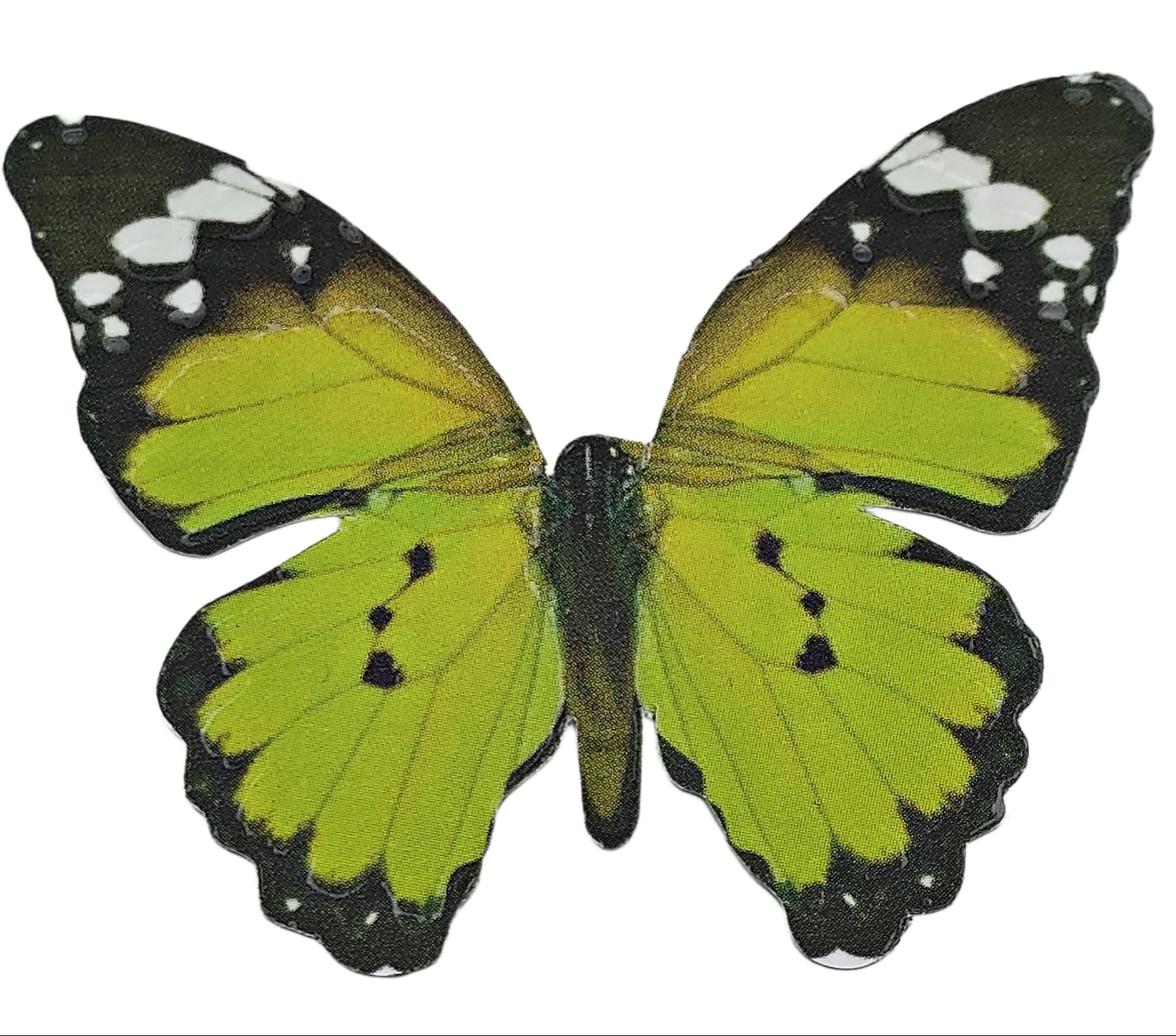 Decoratiuni Fluturi – Tort & Deserturi – Pictati – Fata Dubla – Hartie ...